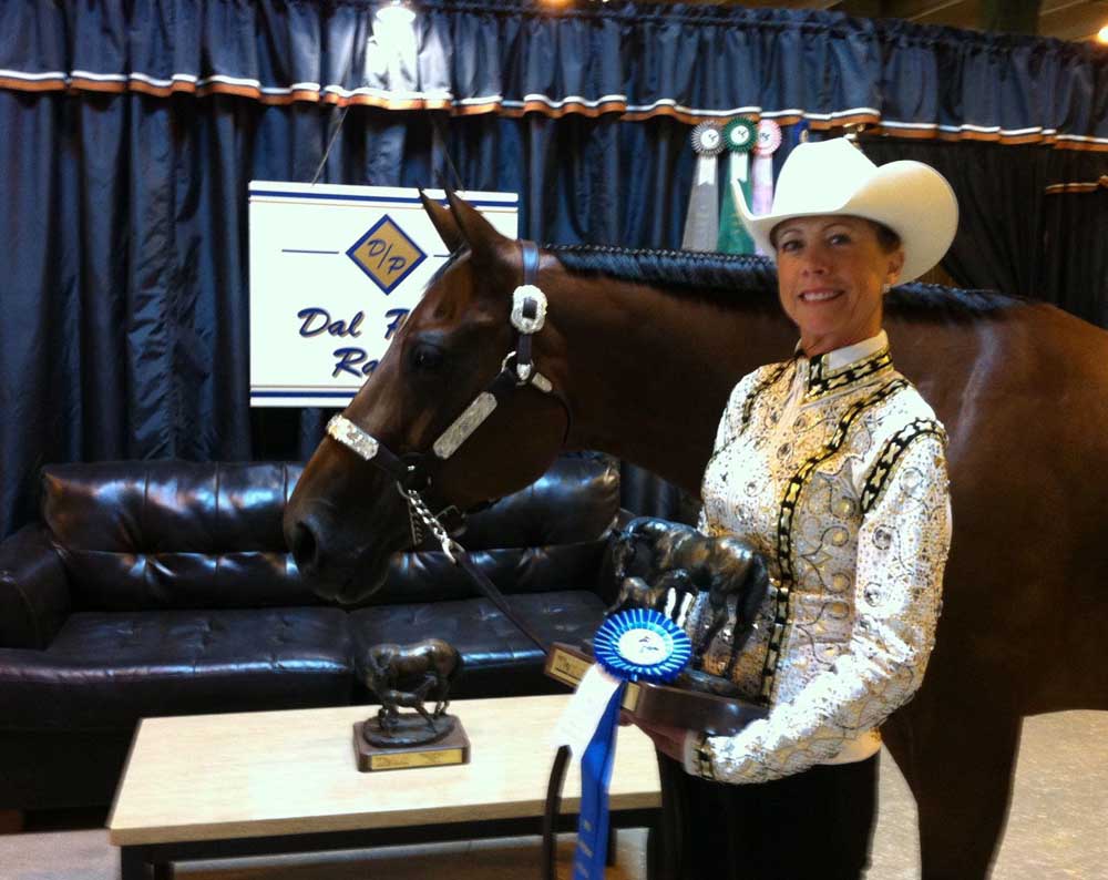 Brentwood Riding Lessons Gallery | Equestrian Show Teams Photos