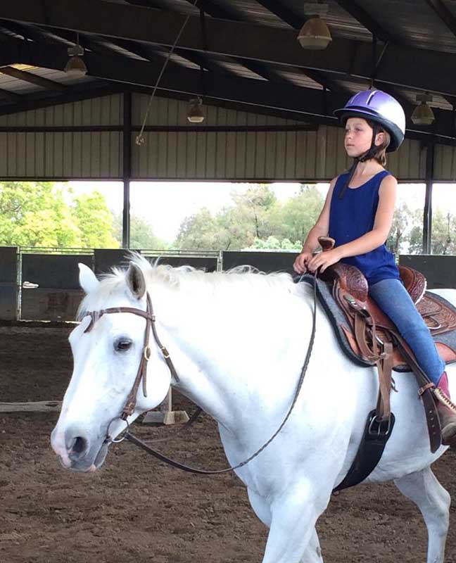Brentwood Riding Lessons Gallery | Equestrian Show Teams Photos