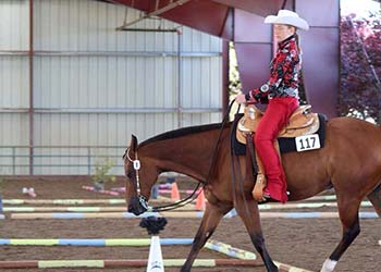 Brentwood Riding Lessons Gallery | Equestrian Show Teams Photos